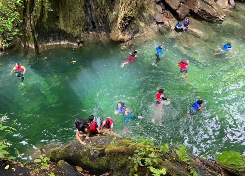 Arete Institute of Science – Evolve into You