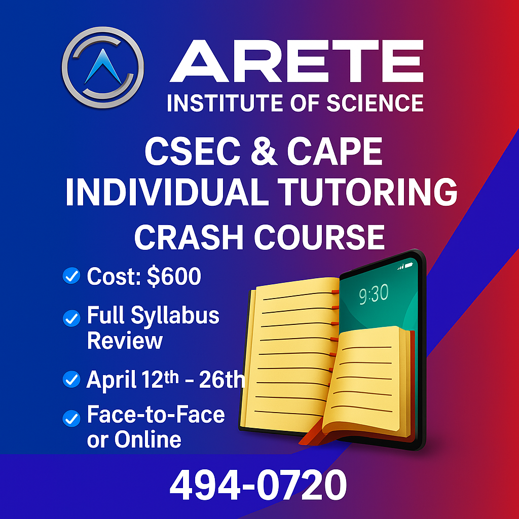 ARETE Individual Tutoring Program – ARETE Institute of Science
